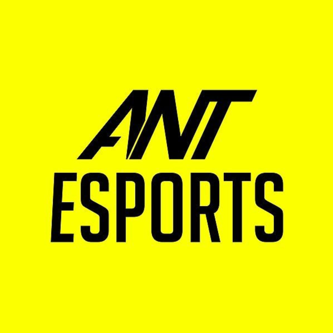 Ant Esports – Aashitech